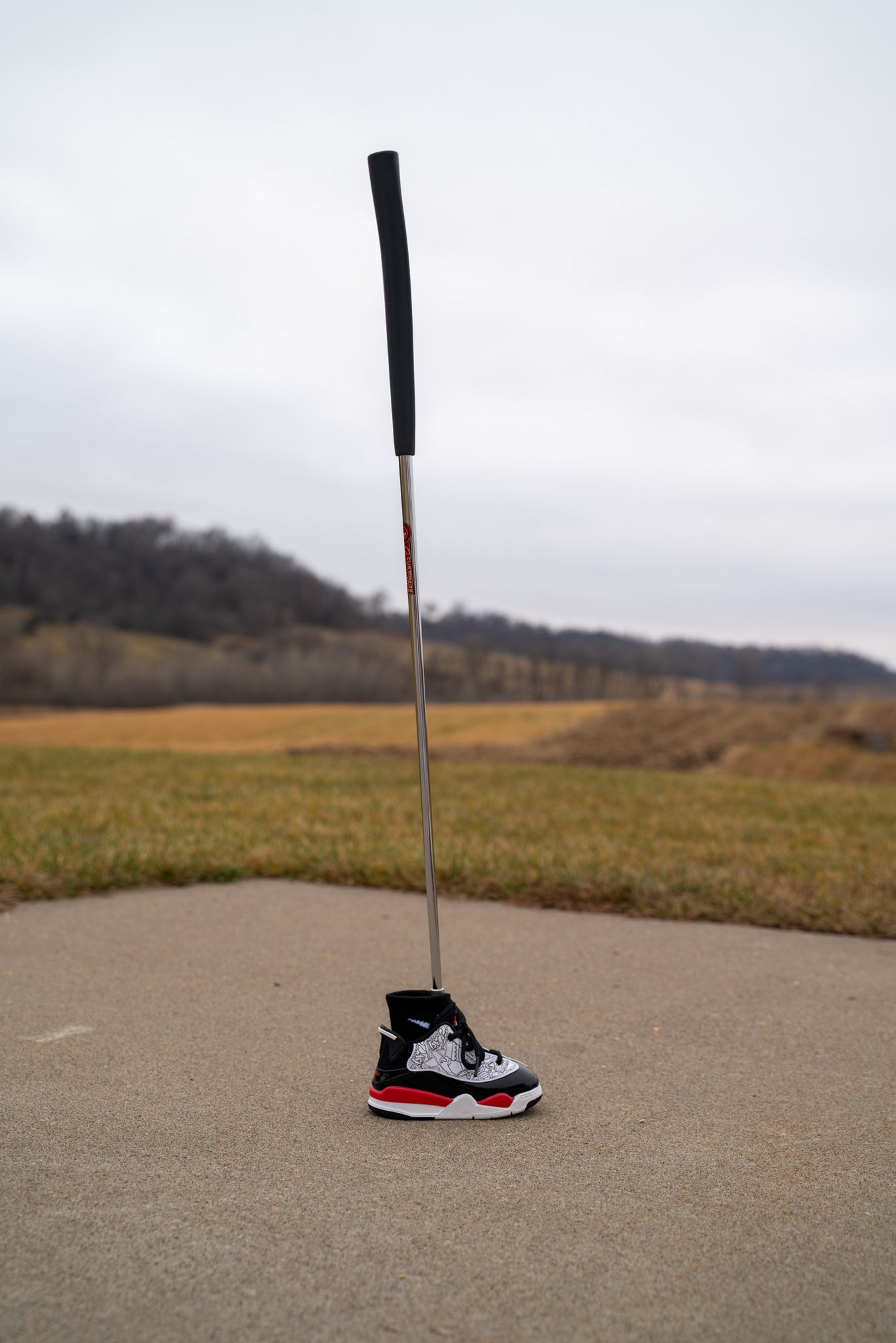Jordan Dub Zero [FIRE RED] Standing Sneaker Putter Cover – SneakerPutt